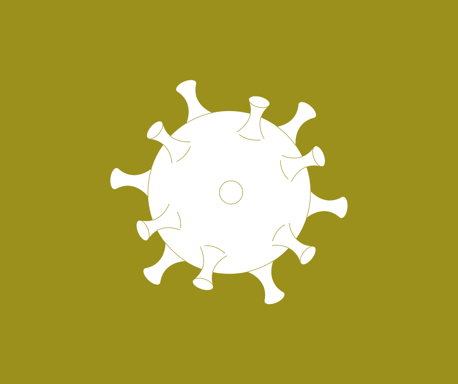 COVID-19 Information in British Sign Language - Community Health Champions